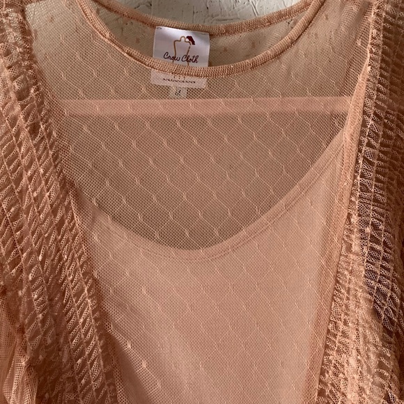 Crow Cloth | Dresses | Crow Cloth Rose Mesh Lace Dress | Poshmark